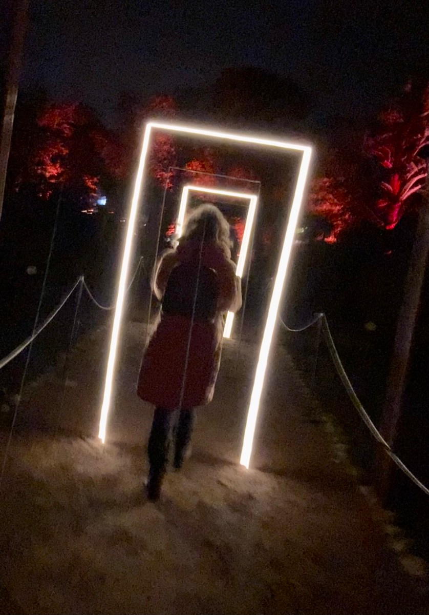 Develop TGN because it’s beautiful and necessary – TGN is the lens for ...